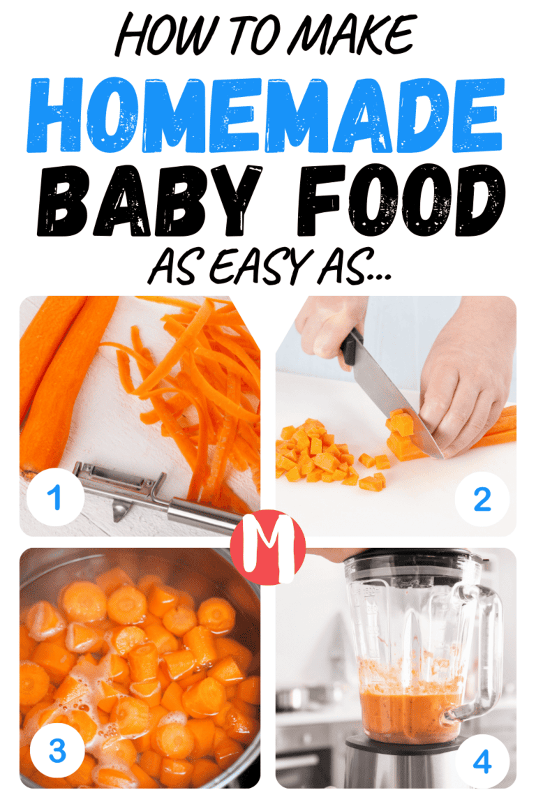 How To Make Homemade Baby Food: The Ultimate Guide To Make Stage 1, 2 ...