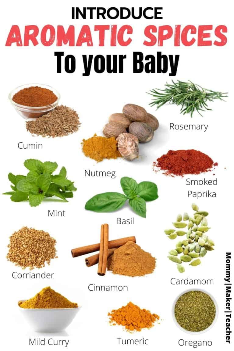 How To Make Homemade Baby Food: The Ultimate Guide To Make Stage 1, 2 ...