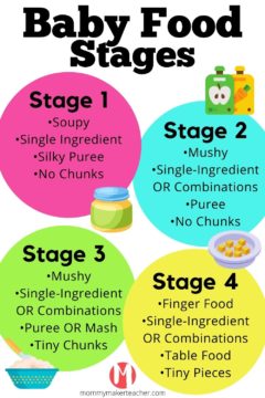 How To Make Homemade Baby Food: The Ultimate Guide To Make Stage 1, 2 ...