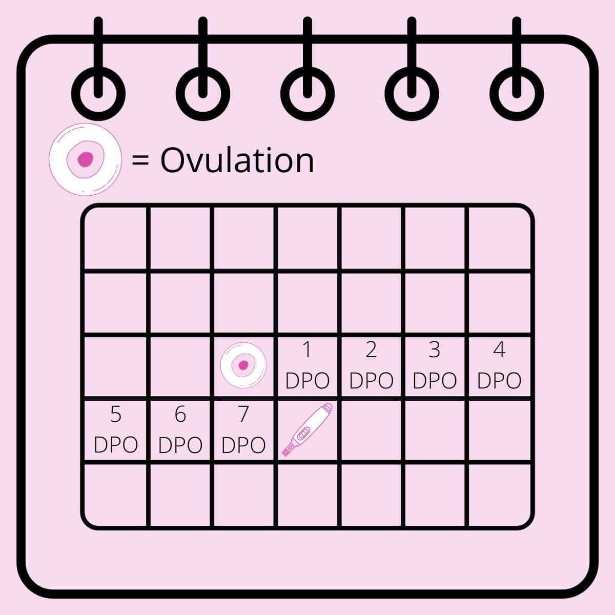 How To Calculate Days Past Ovulation DPO 